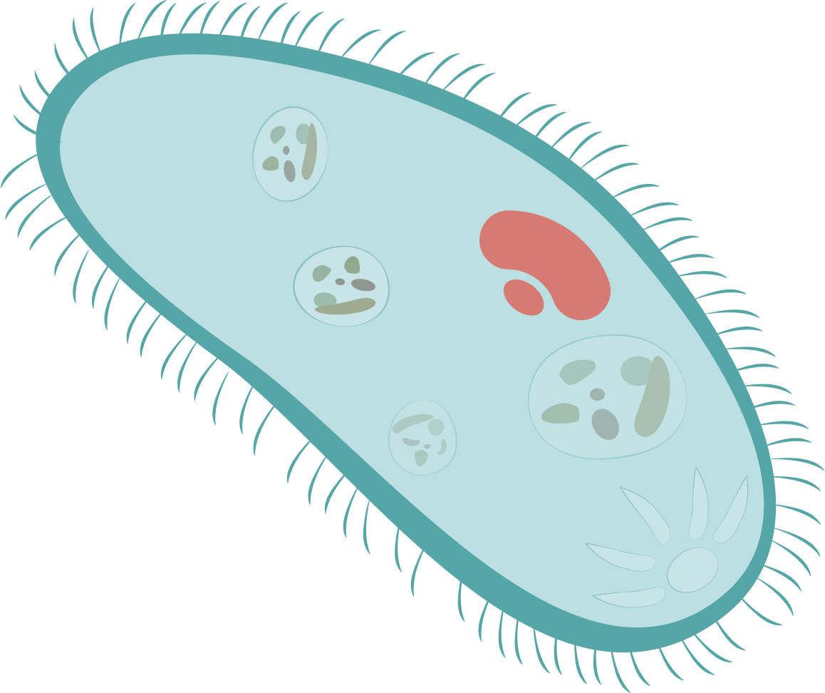 國家海洋資料庫及共享平台